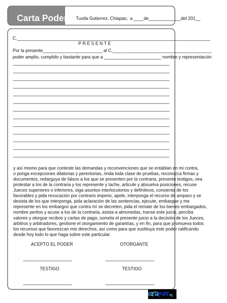 Carta-Poder Formato | PDF