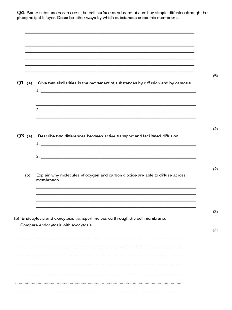 Transport Summary Qs and As | PDF | Cell Membrane | Biophysics