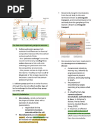 Metaneuron Manual | PDF | Inhibitory Postsynaptic Potential | Membrane ...