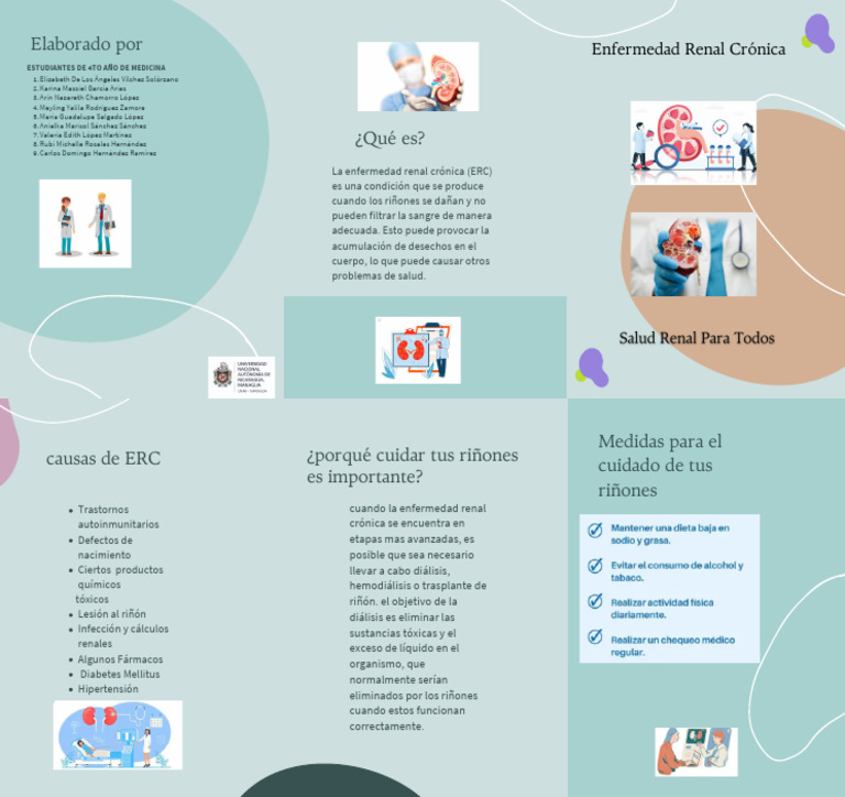 Causas y Tratamientos de ERC | PDF