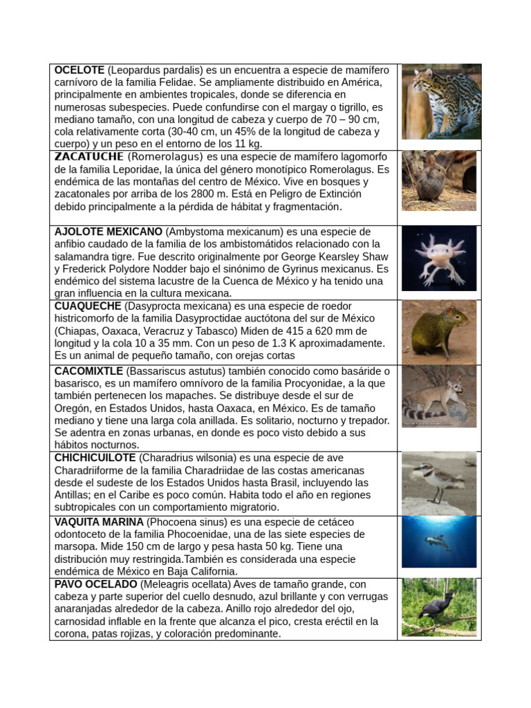 Geografía Tabla Animales | PDF | Maíz | Plantas
