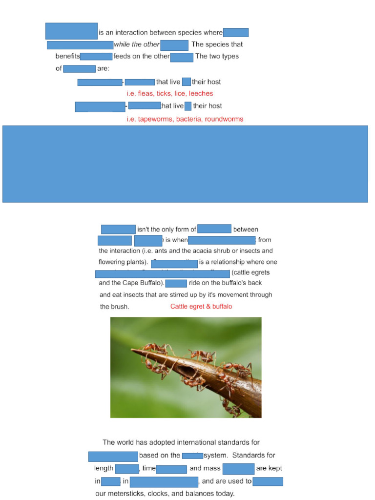 DYK Set 5 - New-1 | PDF