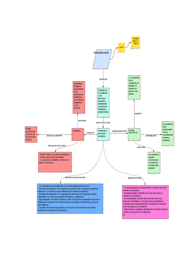 Mapa conceptual | PDF | Neurociencia conductual | Comportamiento