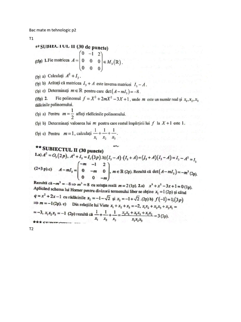 Bac Mate M Tehnologic p2 | PDF