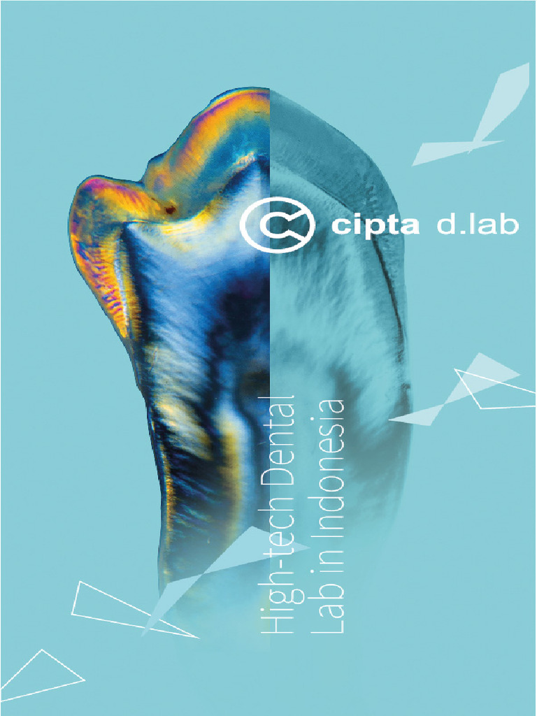 Cipta Dlab - Profile - MOBILE | PDF