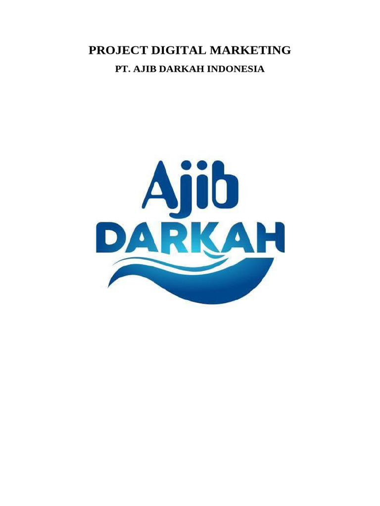 Plan Digital Marketing | PDF