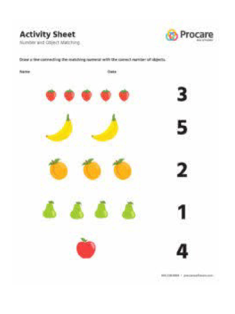 Activity Sheets | PDF