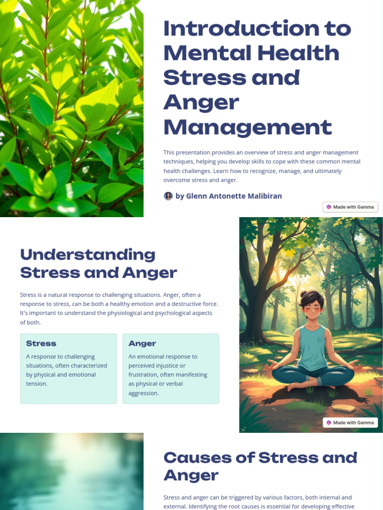 Introduction To Mental Health Stress and Anger Management | PDF ...