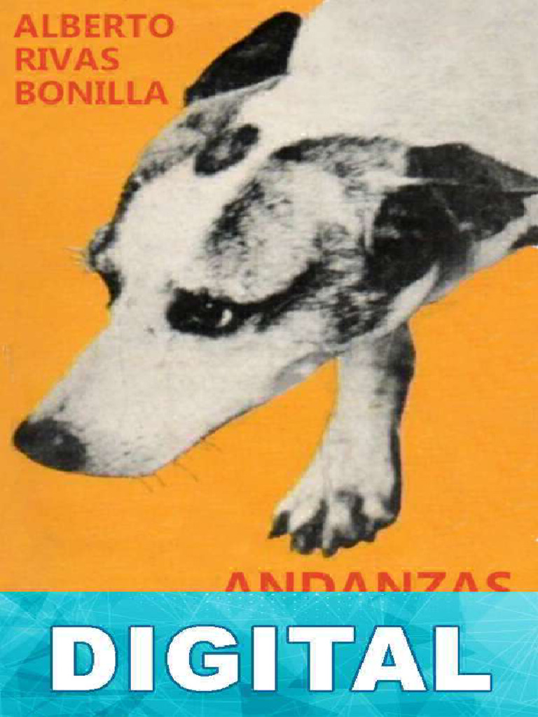 Andanzas y Malandanzas Alberto Rivas Bonilla | PDF | Narración | Novelas