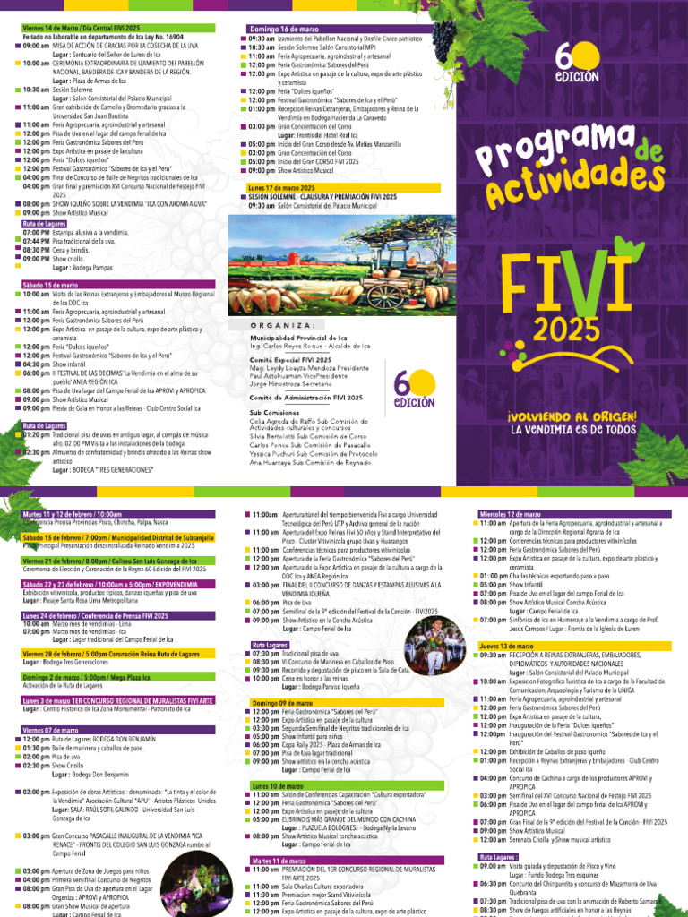 Programación Fivi 2025 | PDF