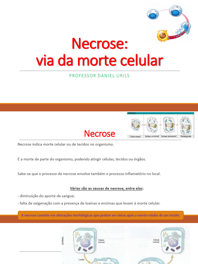 Entendendo a Necrose Celular e Tipos | PDF