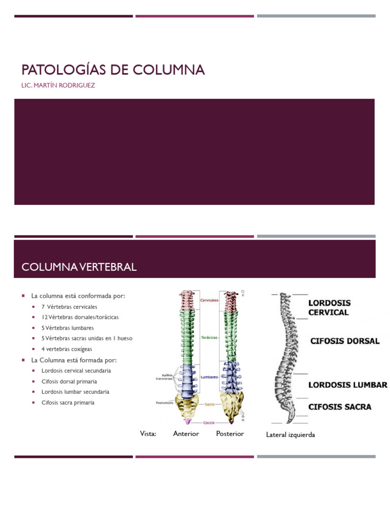 Patologías de Columna | PDF | La columna vertebral | Escoliosis