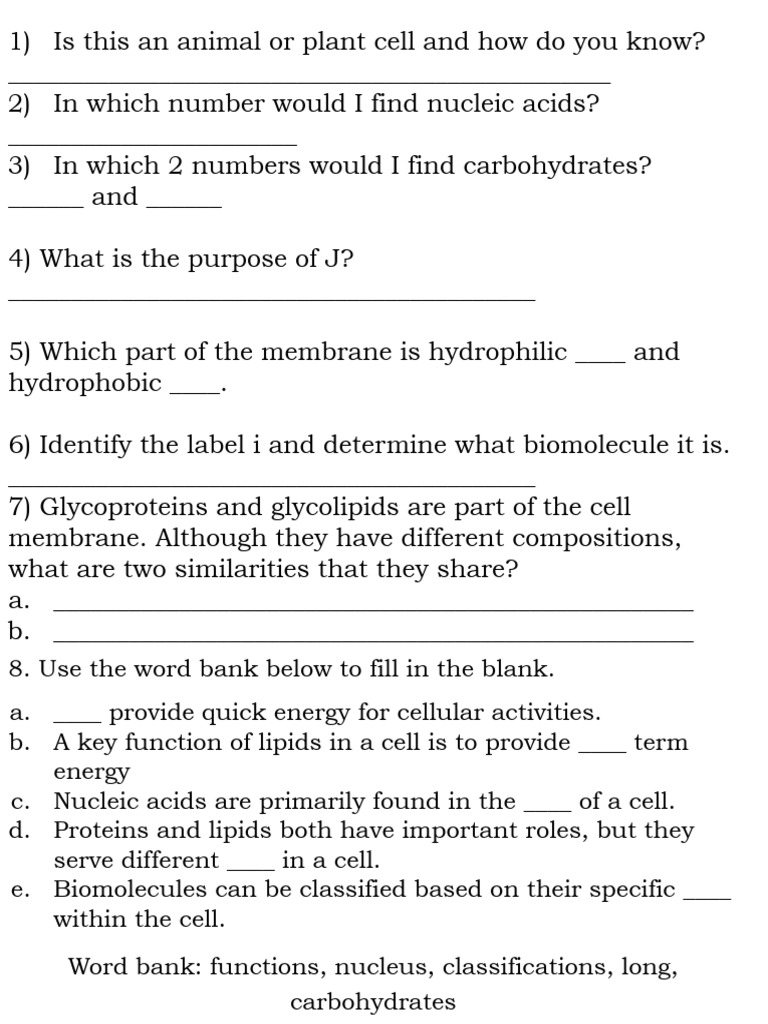 Cell Structure and Biomolecules Quiz | PDF | Cell (Biology) | Nucleic Acids