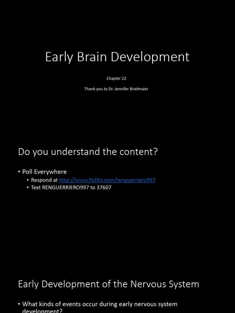 Early Brain Development - SP 24 | PDF | Central Nervous System ...
