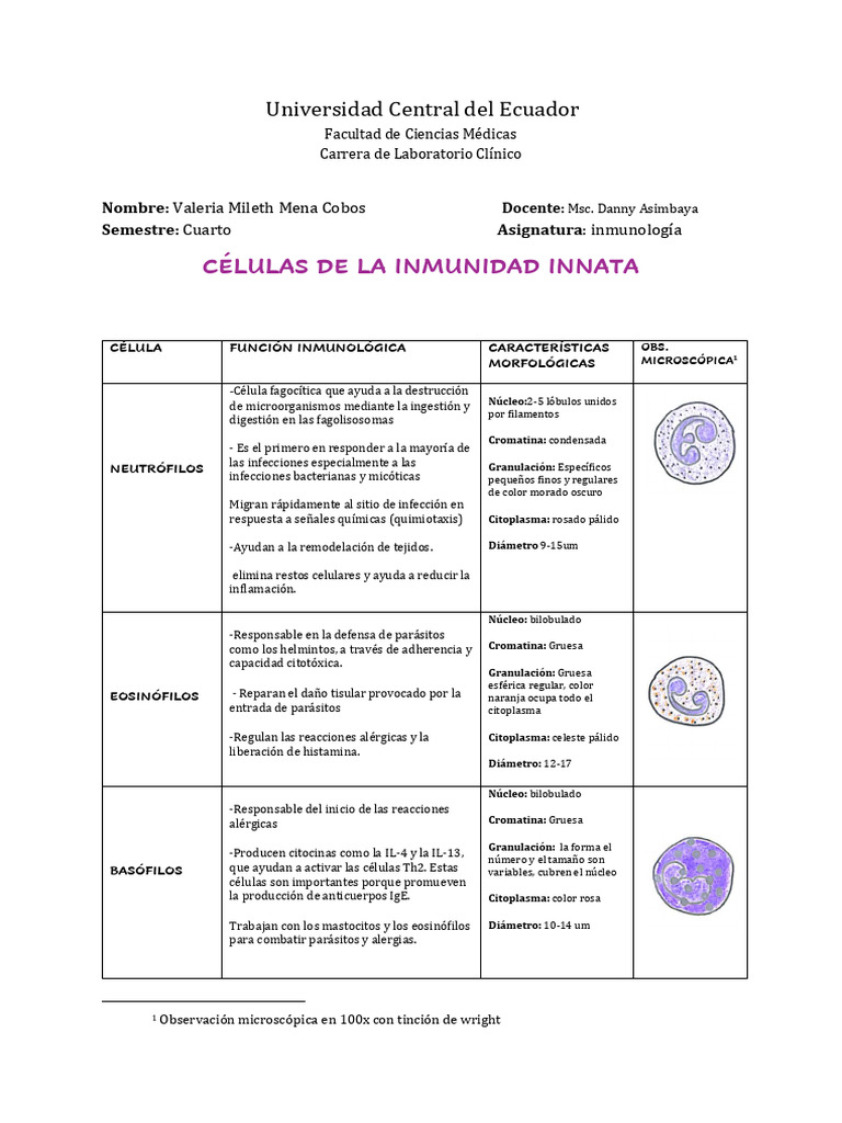 Células de La Inmunidad Innata | PDF | Inflamación | Sistema inmune