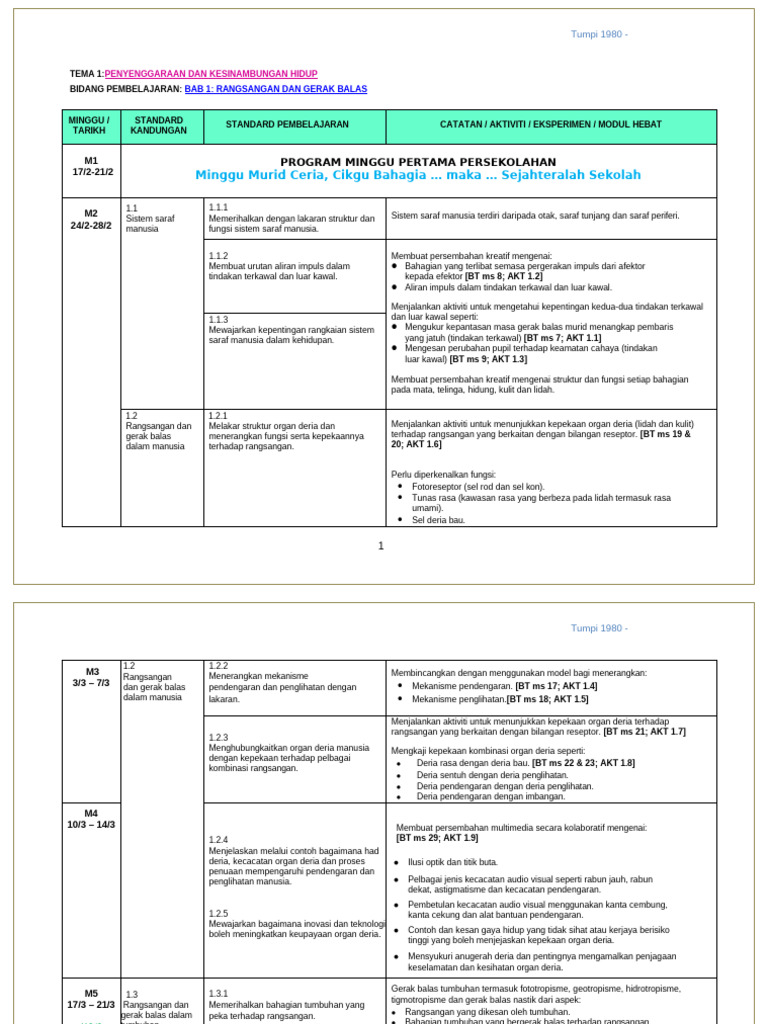 RPT SN TG3 2025 Tumpi | PDF