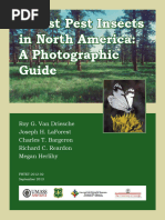 Ent 425 Insect Collection Labels | PDF | Typefaces | Insects