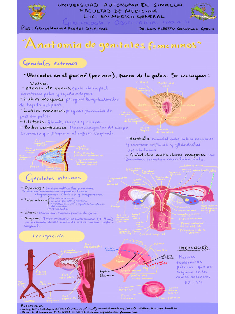 Infografia 1 Anatomía de Genitales Femeninos - 202502031656 - 14508 | PDF