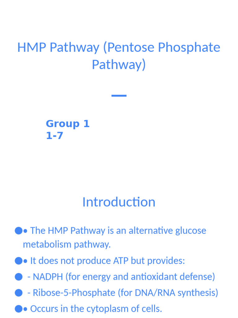 HMP Pathway Simplified | PDF
