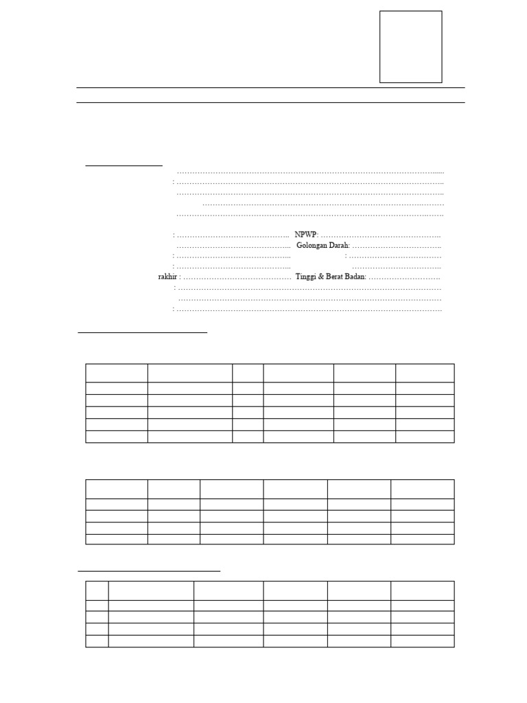 Formulir - Lamaran - Kerja No Logo (Jan 23) | PDF