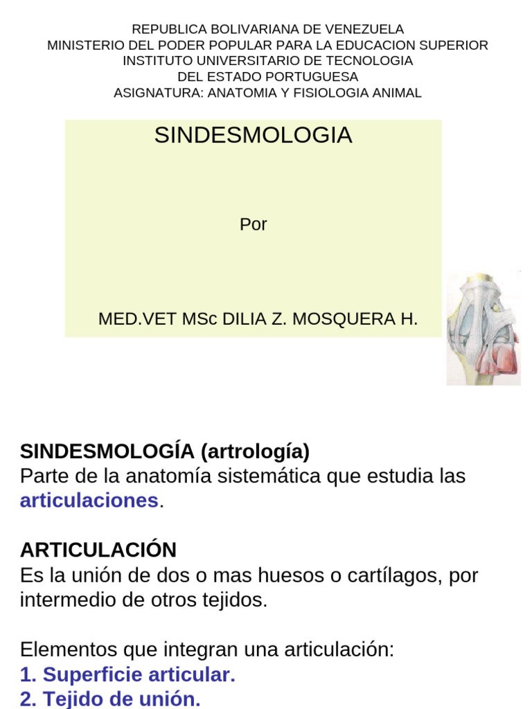 Introducción a la Sindesmología | PDF