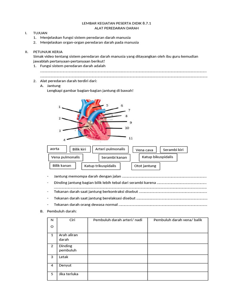 LKPD Peredaran Darah-1 | PDF
