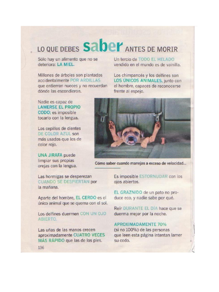 Ama tu Vida y a los Tuyos Hoy | PDF