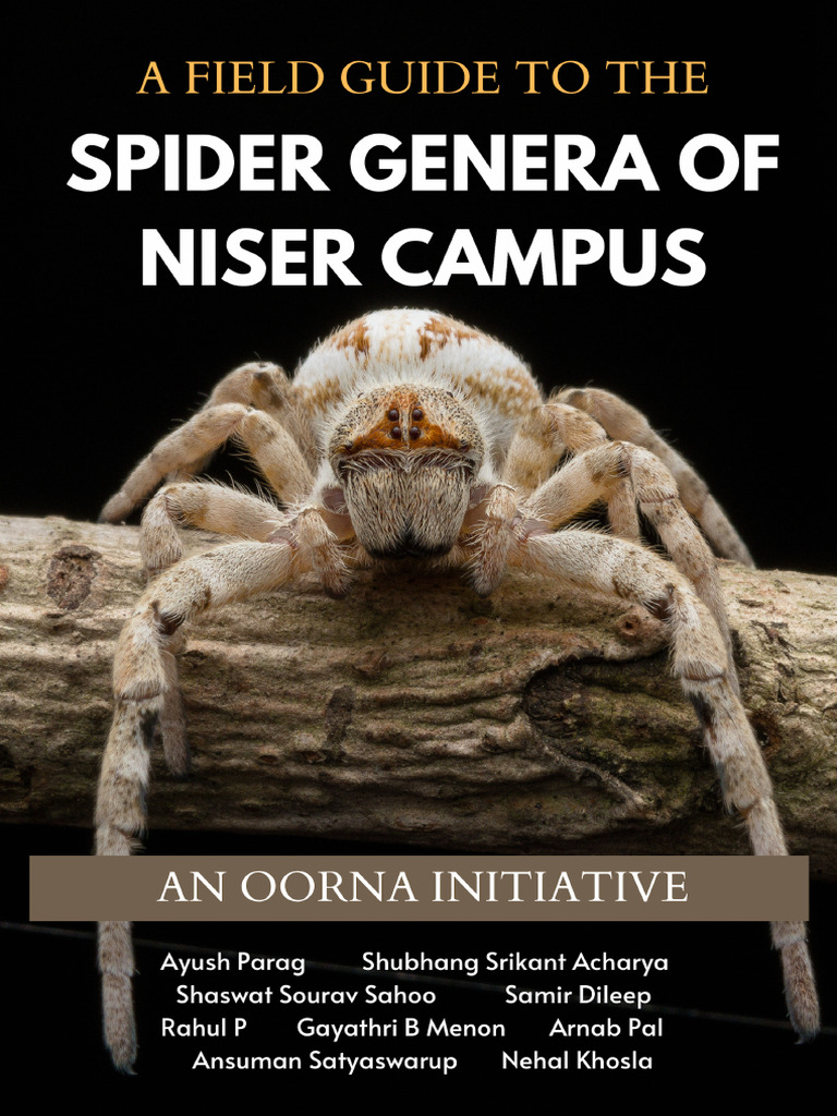 (High Quality) Field Guide To The Spider Genera of The NISER Campus | PDF
