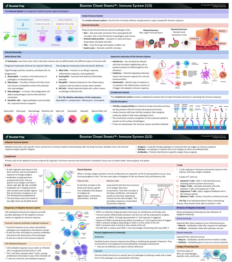 Booster Cheat Sheets - 21) Immune System | PDF | Immune System | Innate ...