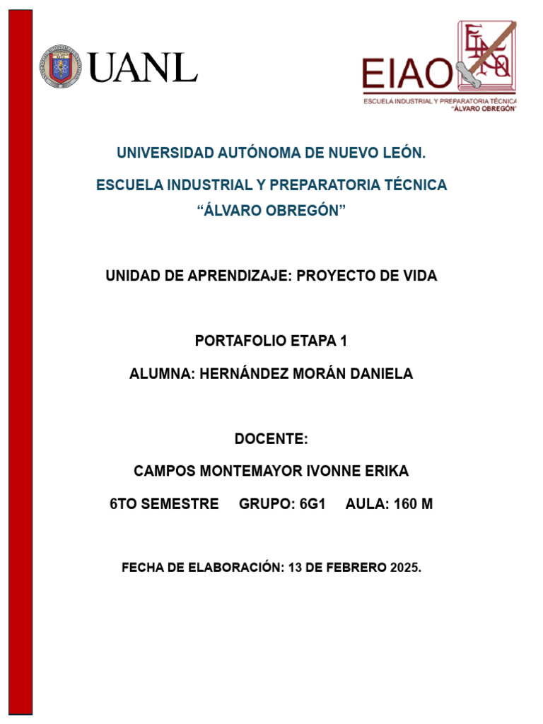 Portafolio E1 DHM Proyvid | PDF