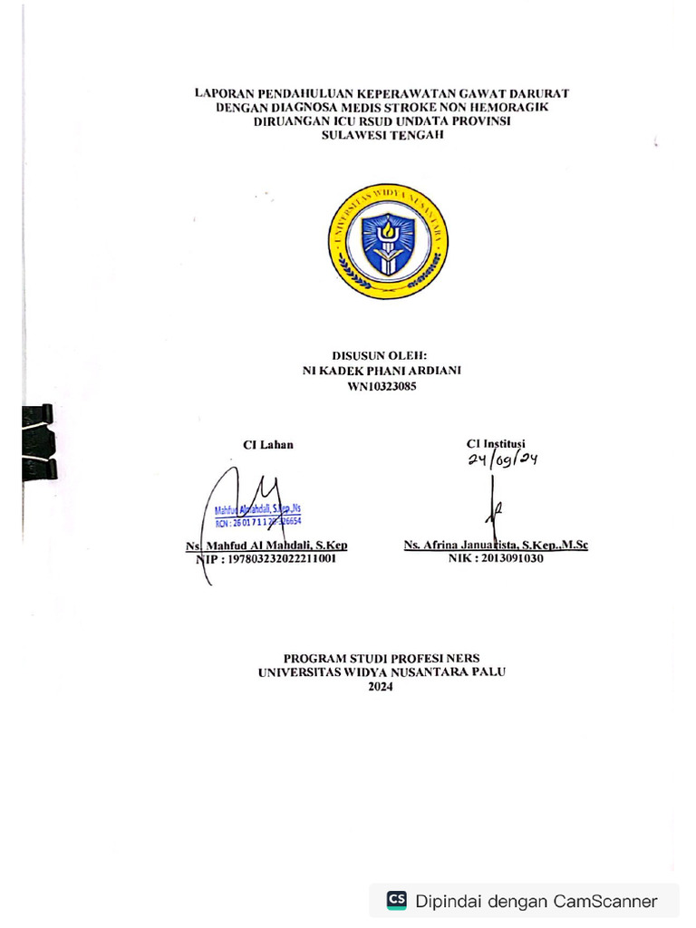LP Askep Diagnosa NHS Di Ruangan ICU | PDF