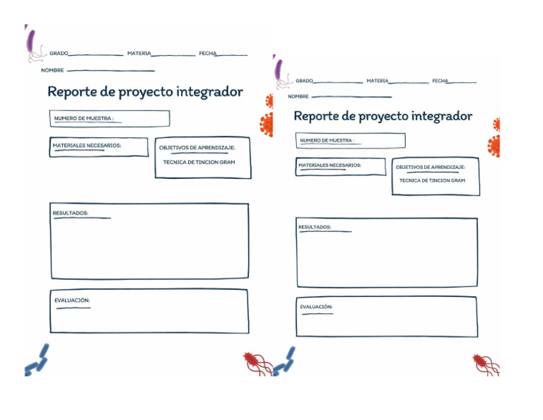Reporte de Proyecto Integrador Micro II | PDF