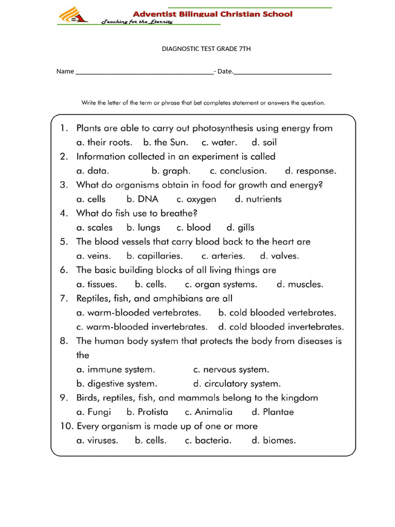 Grade 7 Diagnostic Test Template | PDF