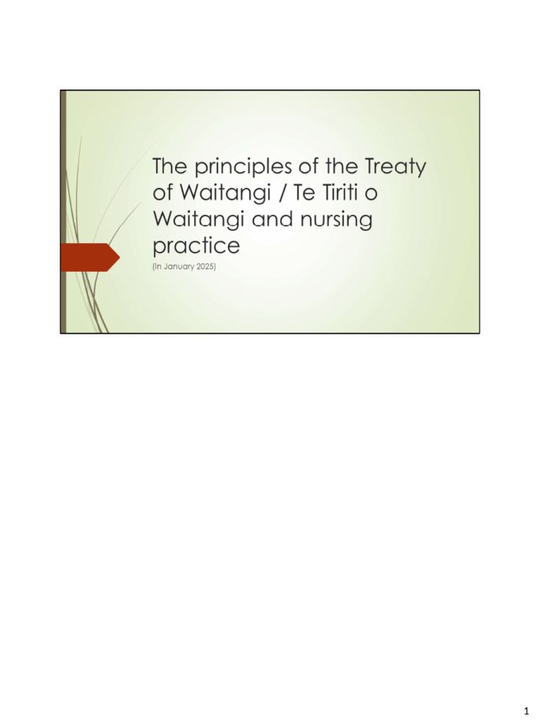 Education Session - The Principles of Te Tiriti and Nursing Practice ...