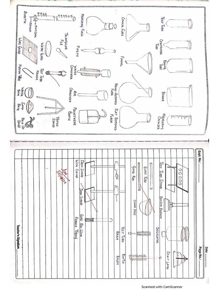 Class 11 Practical | PDF