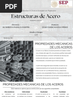 Manual de Perfiles Estructurales | PDF | Acero | Corrosión