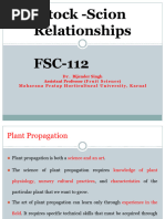 Sam Obare Biology Notes: Intro & Cell | PDF | Photosynthesis | Stoma
