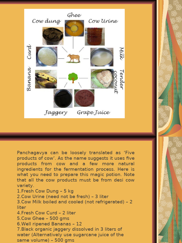 Panchagavya Preparation Guide | PDF