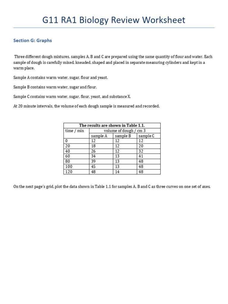 G11 Biology Review Worksheet Answers | PDF | Leaf | Photosynthesis
