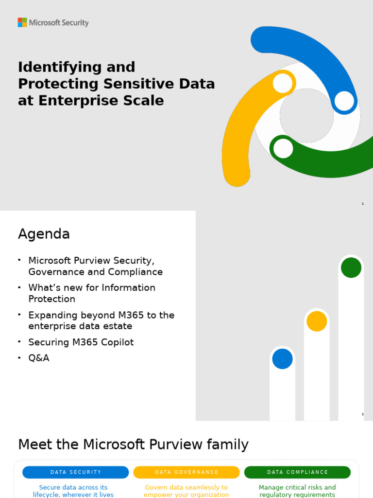 Microsoft Purview Information Protection Overview | PDF | Mobile App ...