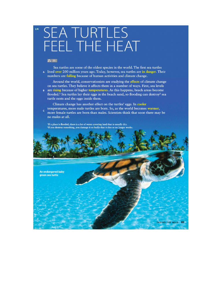 lesson5_Unit 5_Reading 1 (3) | PDF