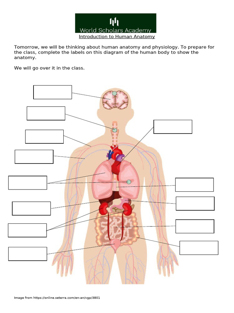 Class 1 - Homework Sheet | PDF