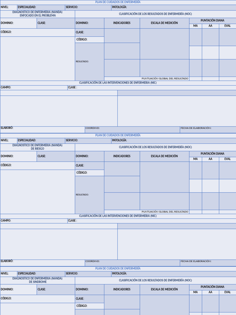 FORMATO PAE | PDF | Enfermería | Medicina CLINICA