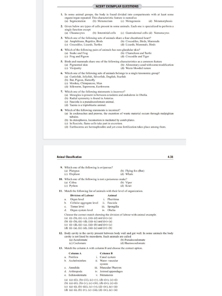 saurabh 9167 kingdom Animalia-Exemplar-quest | PDF