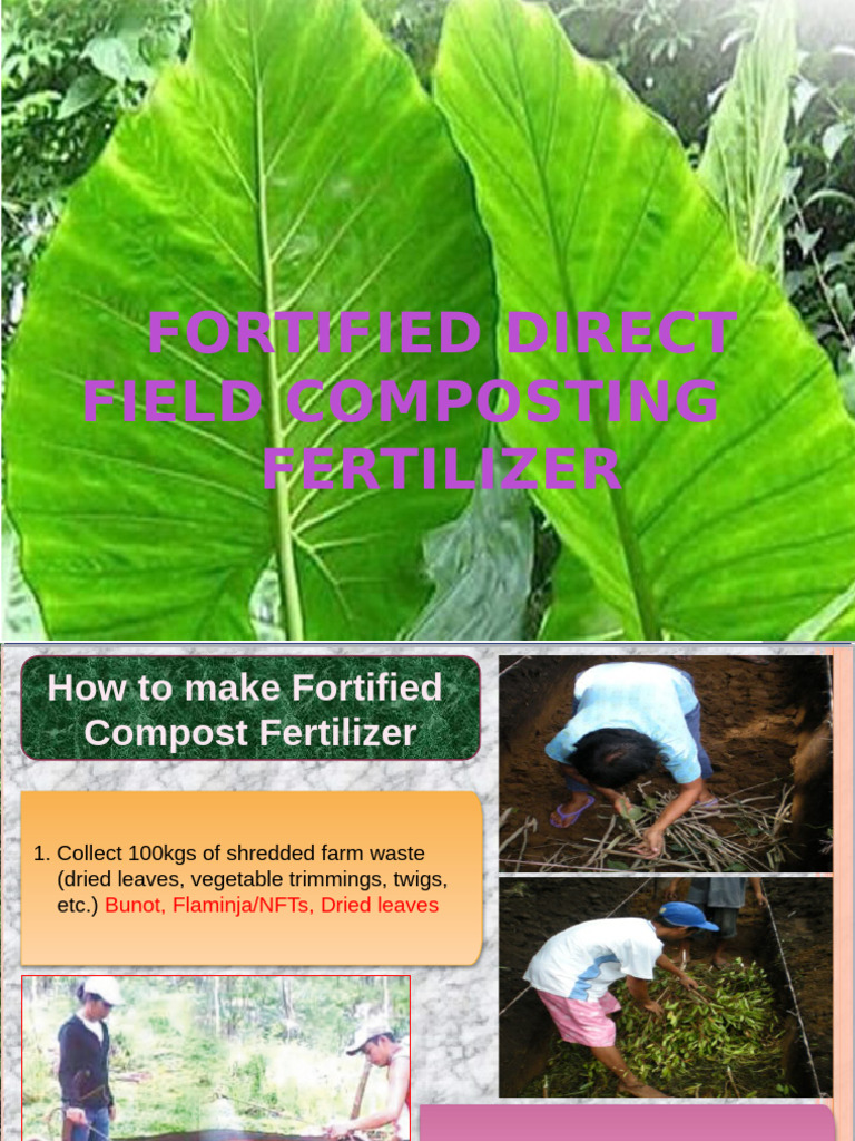 How to Make Fortified Compost Fertilizer | PDF