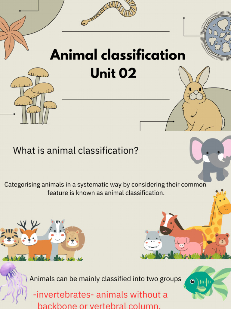Animal Classification - 20250202 - 235523 - 0000 | PDF