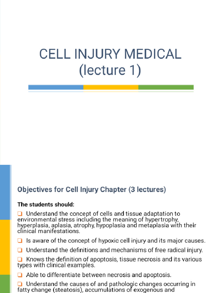 Cellular Path 2_Phoenix | PDF