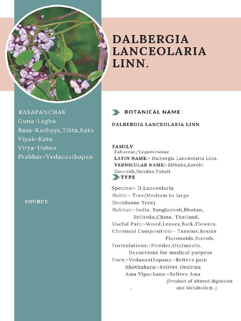 Saloni Project | PDF