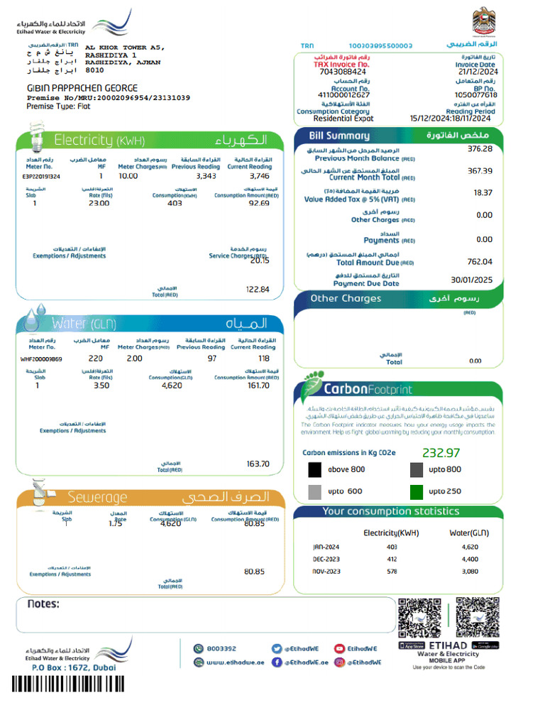 707065670-EtihadWe-Bill (2) | PDF