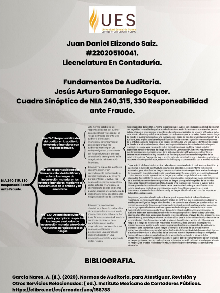 ACT6 CUADRO SINOPTICO NIA 240, 315 Y 320. | PDF | Auditoría | Contralor